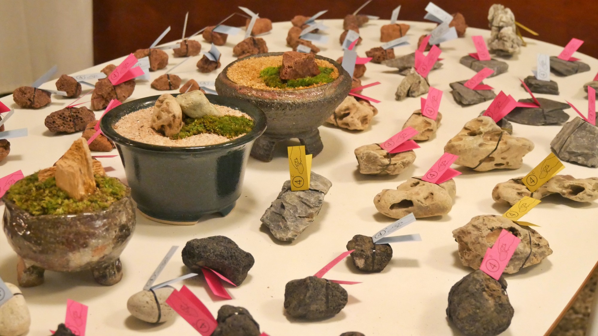 화분 위 작은 세계에 자리 잡다 – heyPOP