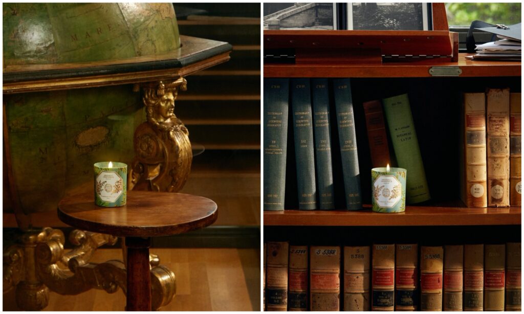 향에 대한 특별한 접근 ‘까리에르 프레르’