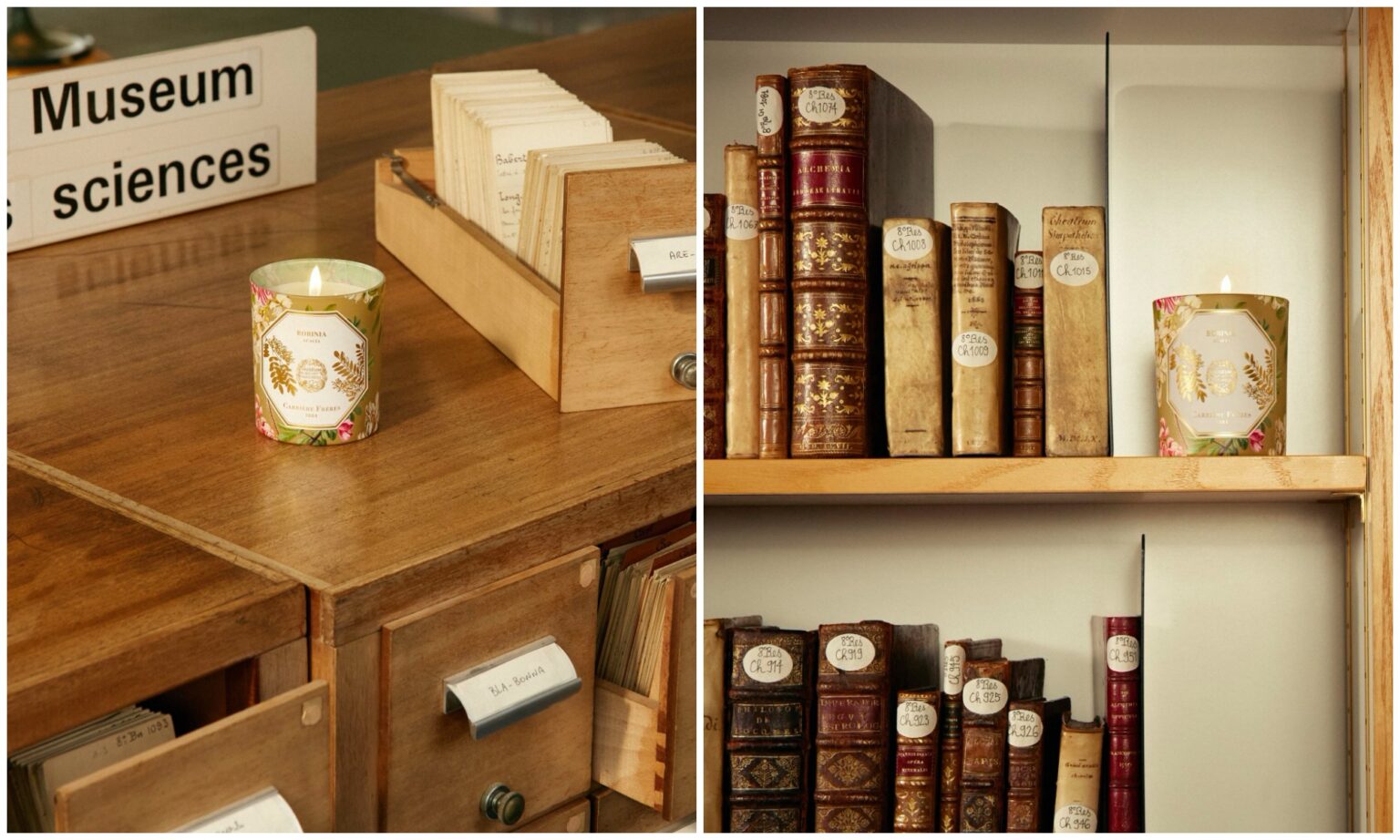 향에 대한 특별한 접근 ‘까리에르 프레르’