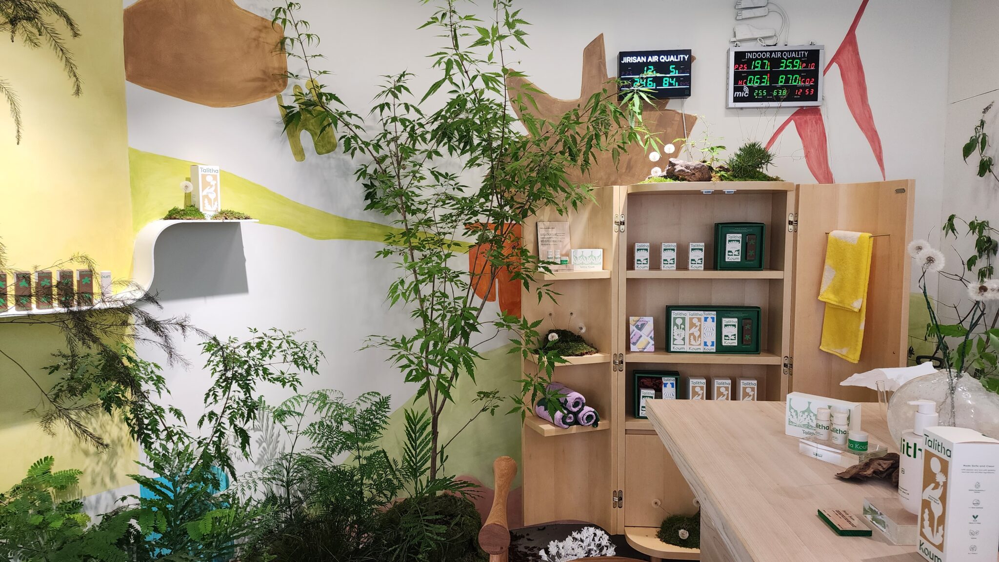 지리산 공기로 숨쉬는 시간, 탈리다쿰 – heyPOP