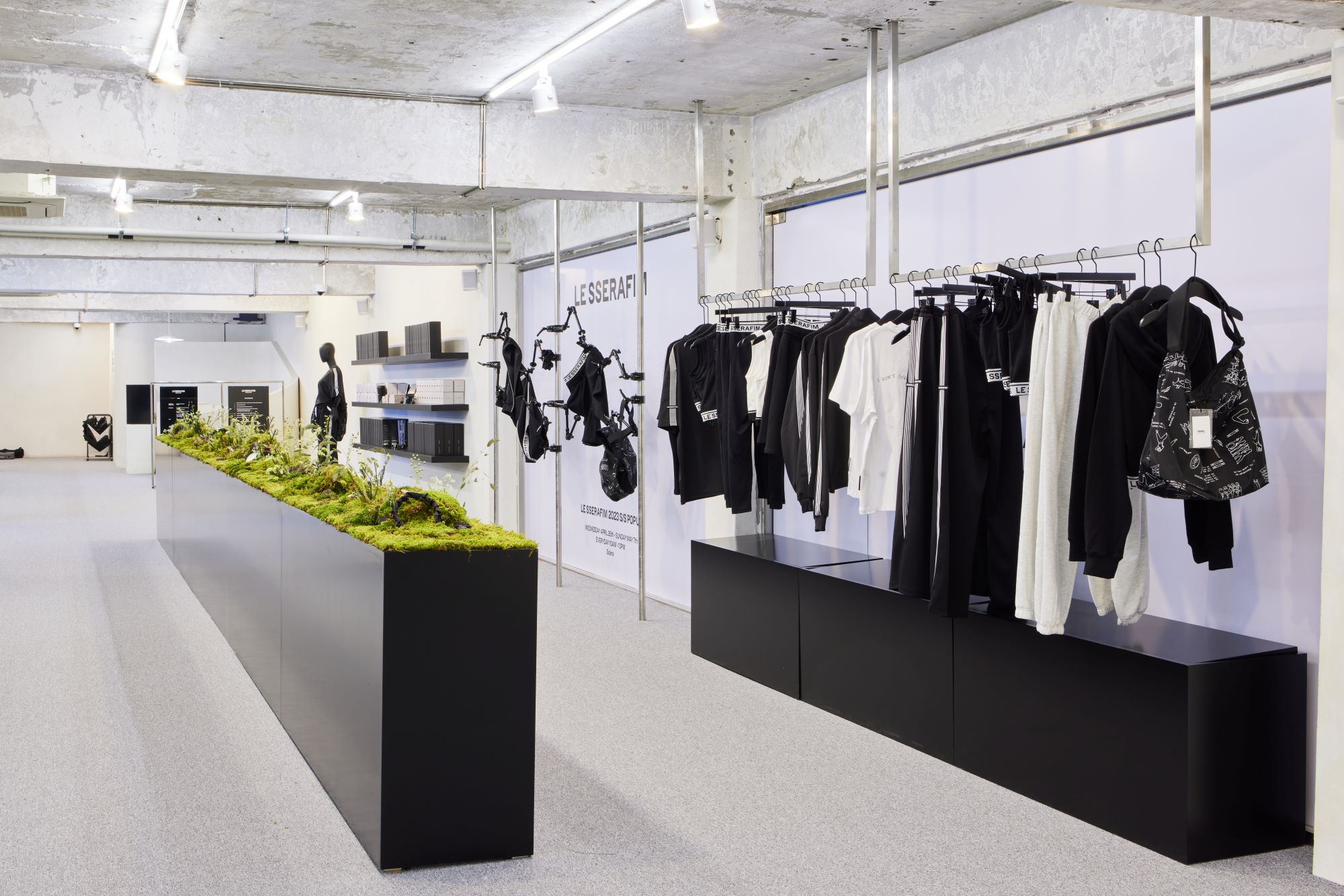 세상의 시선에 흔들리지 않고 두려움 없이 – heyPOP