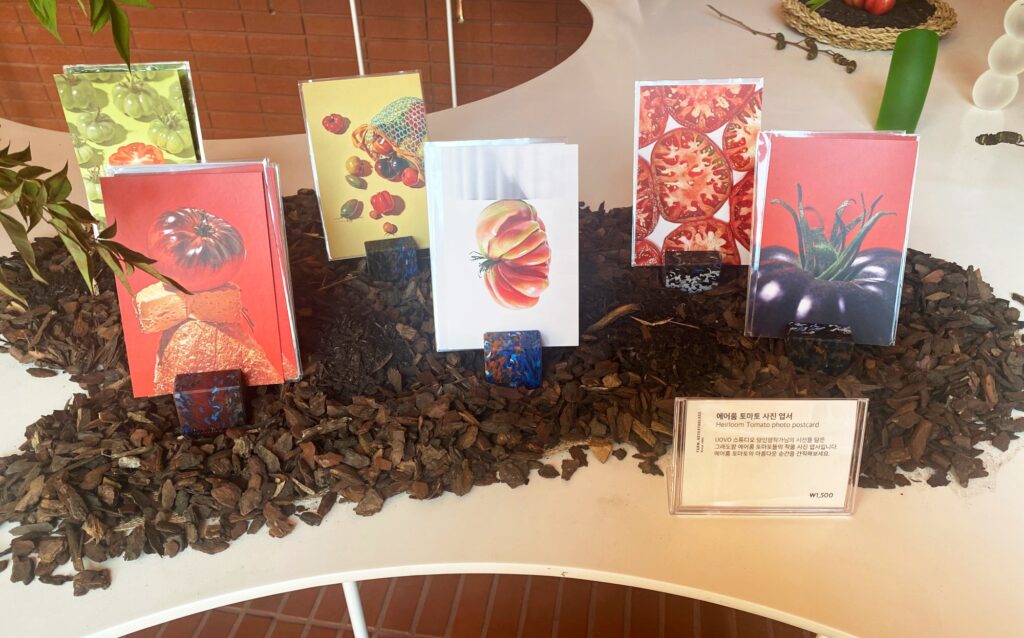 알록달록 토마토, 너의 이름은 – heyPOP