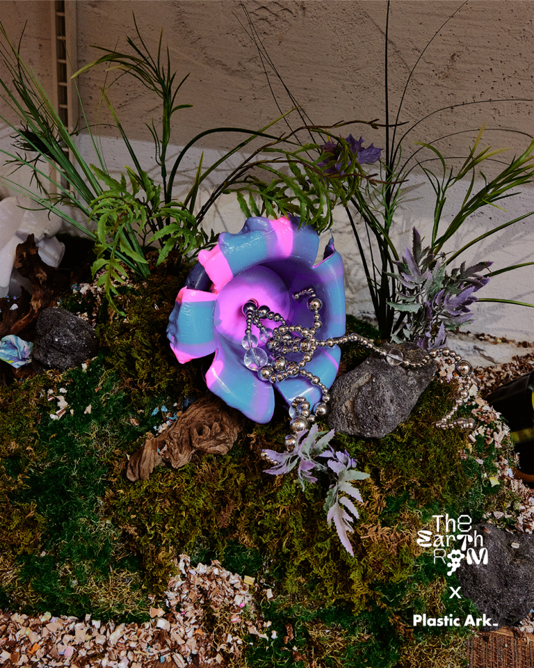 이상하고도 아름다운 씨앗으로부터 – heyPOP