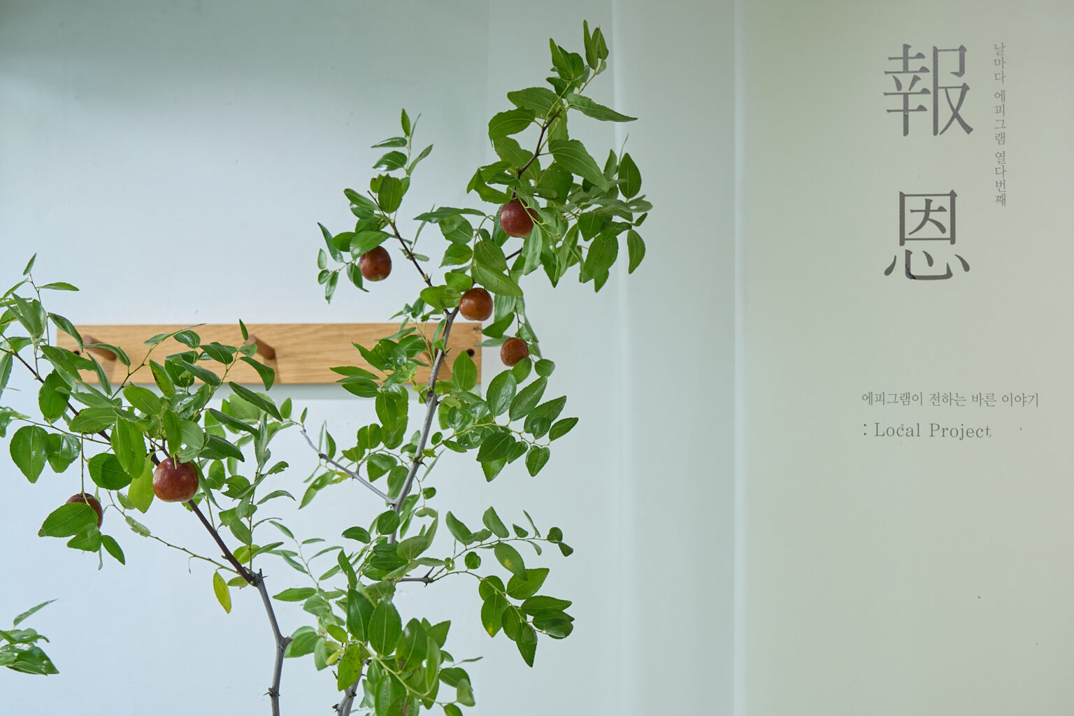 로컬의 ‘보은’ – heyPOP