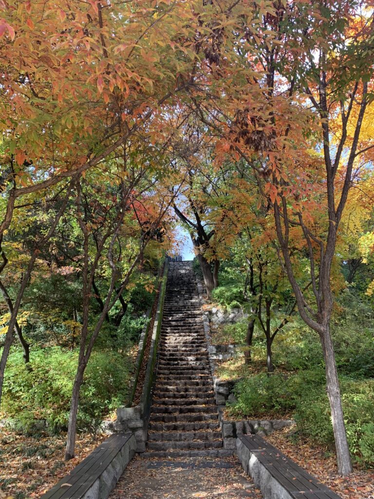 서울 속 단풍이 멋진 장소 3 – heyPOP