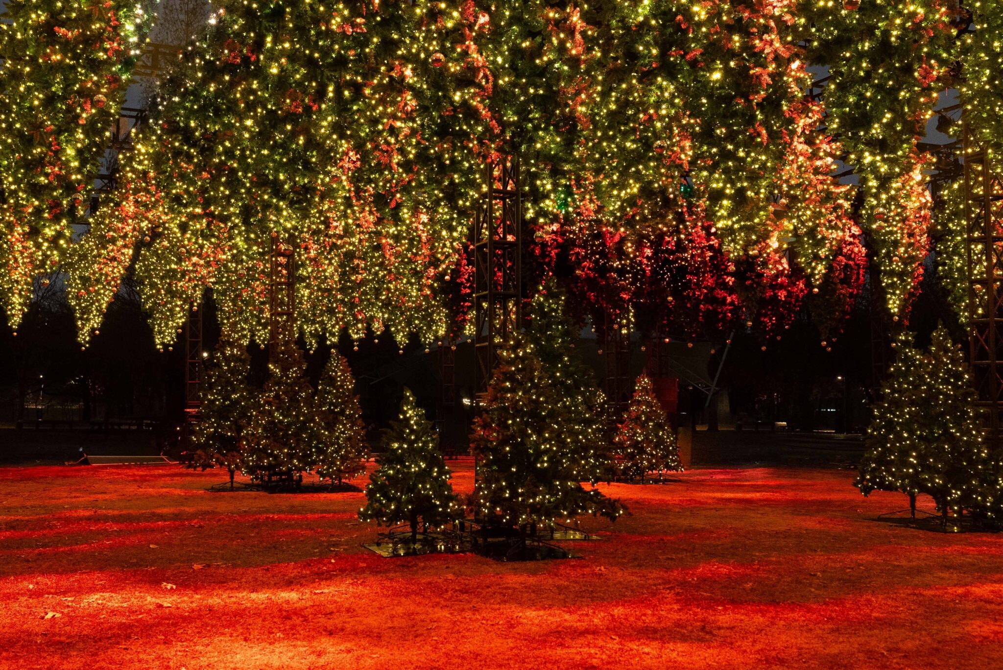 겨울밤, 서울숲에 펼쳐지는 빛과 소리의 세계 – heyPOP