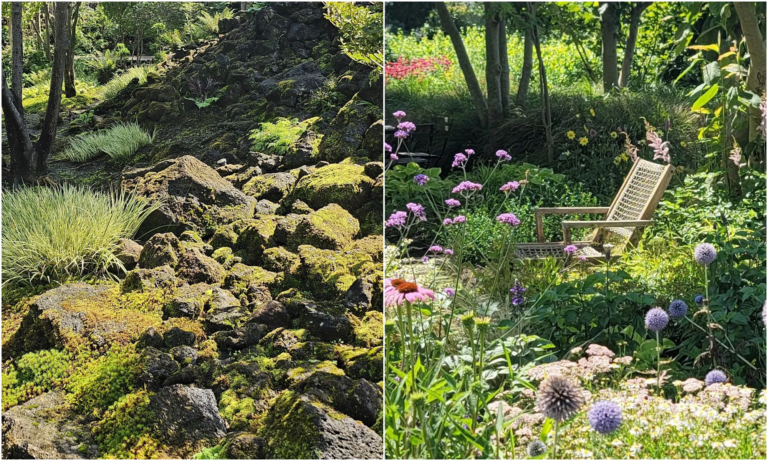 제주도 자연을 만끽할 수 있는 봄 나들이 장소 3 – heyPOP