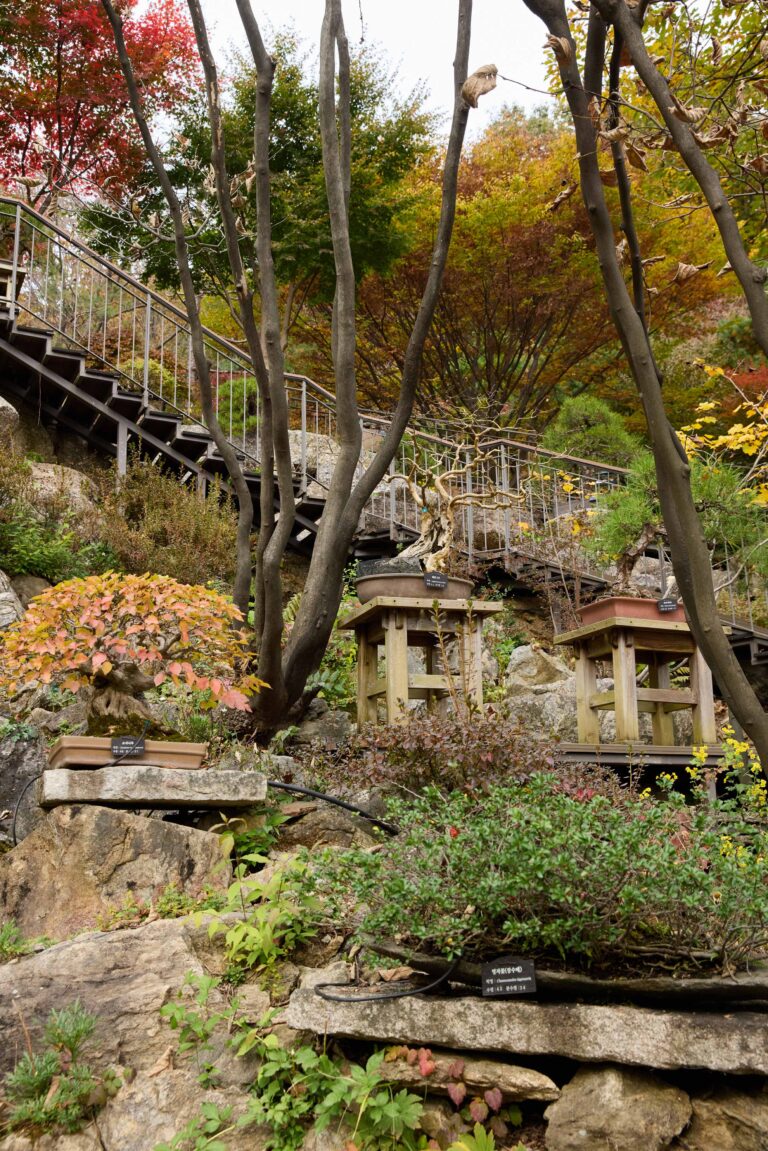 인간과 자연이 공존하는 수목원, 화담숲 ③ - heyPOP