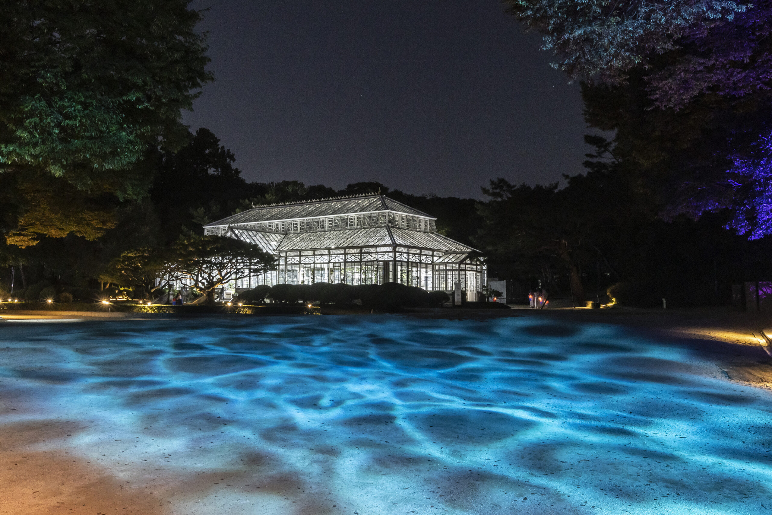 미디어 아트로 물들 창경궁의 밤